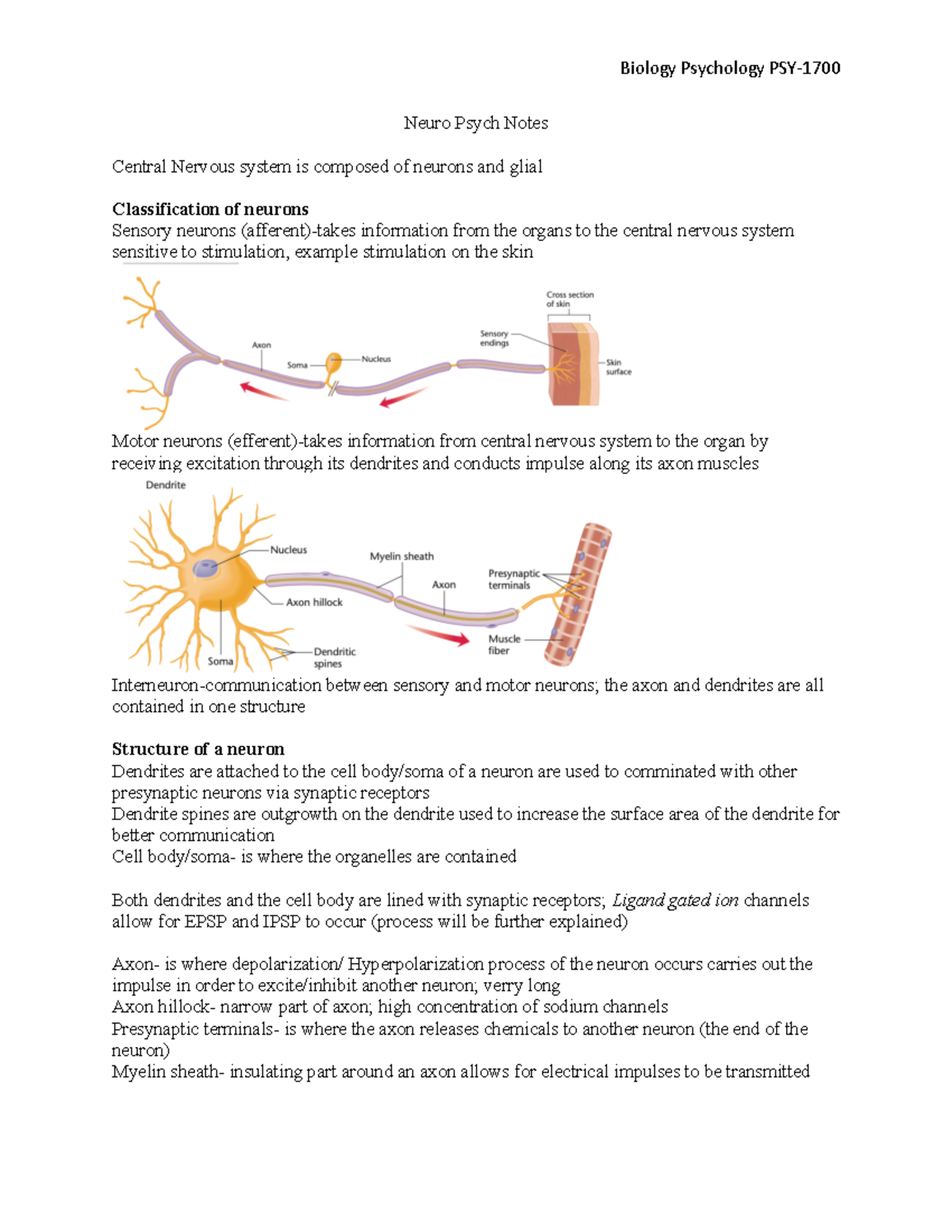 Neurbiology chapter notes - Neuro Psych Notes Central Nervous system is ...