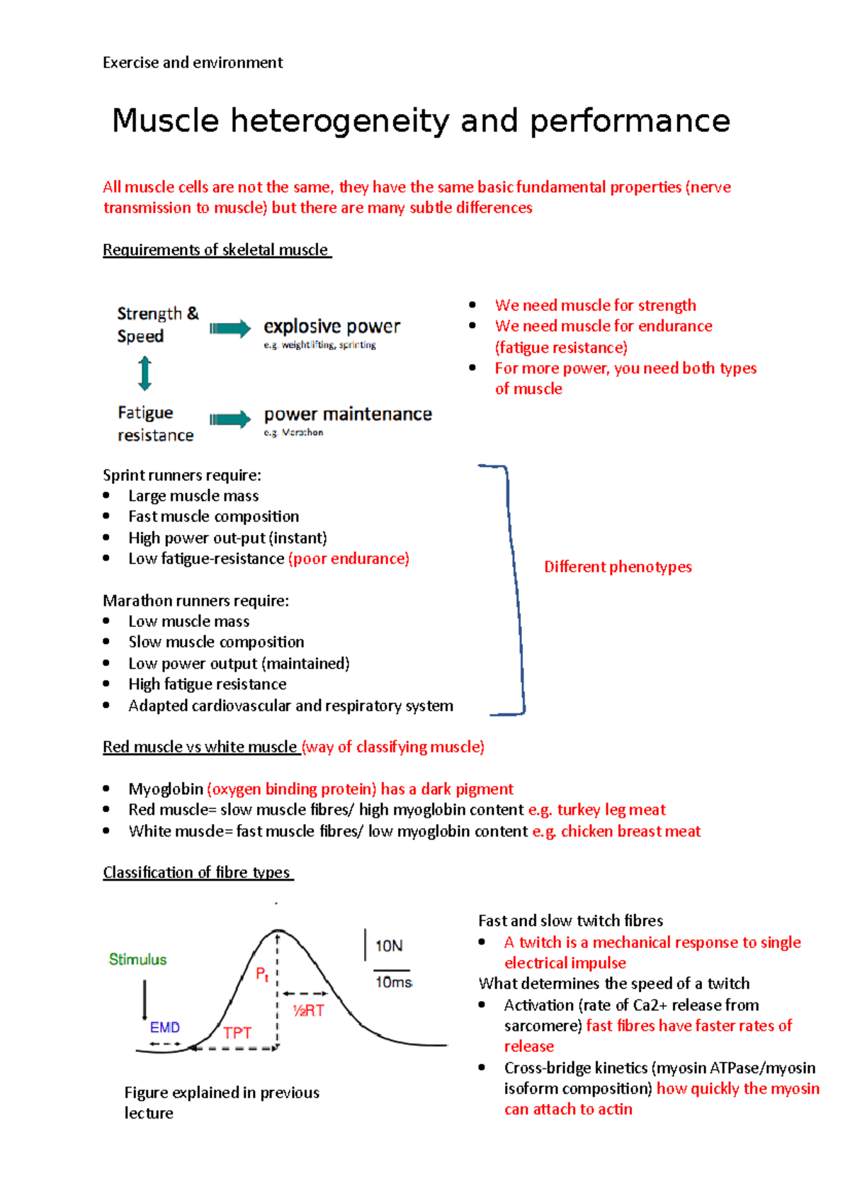 E&E-Muscle heterogeneity and performance - Muscle heterogeneity and ...