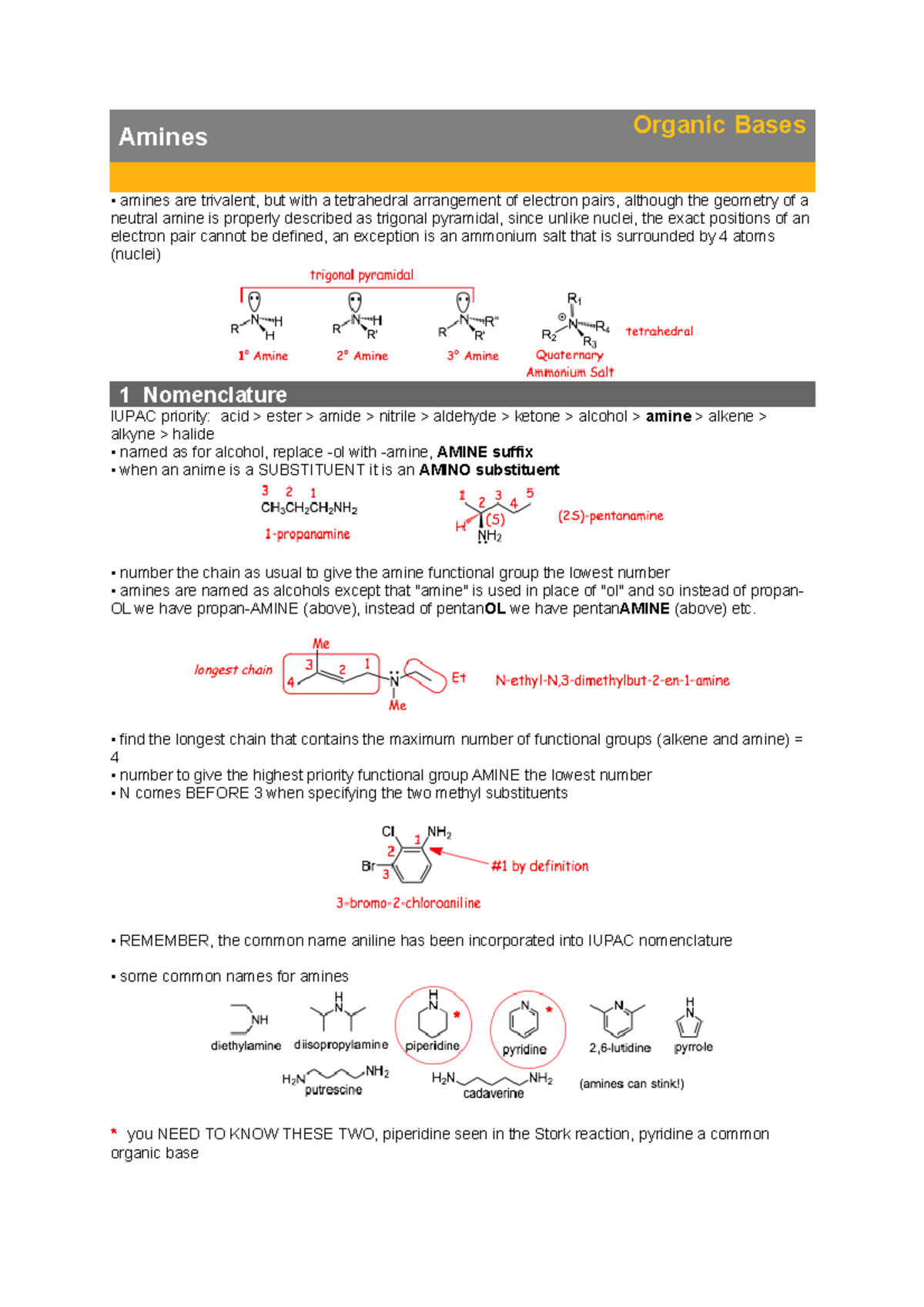Amines - Organic Bases - Lecture notes 13 - Amines Organic Bases amines ...