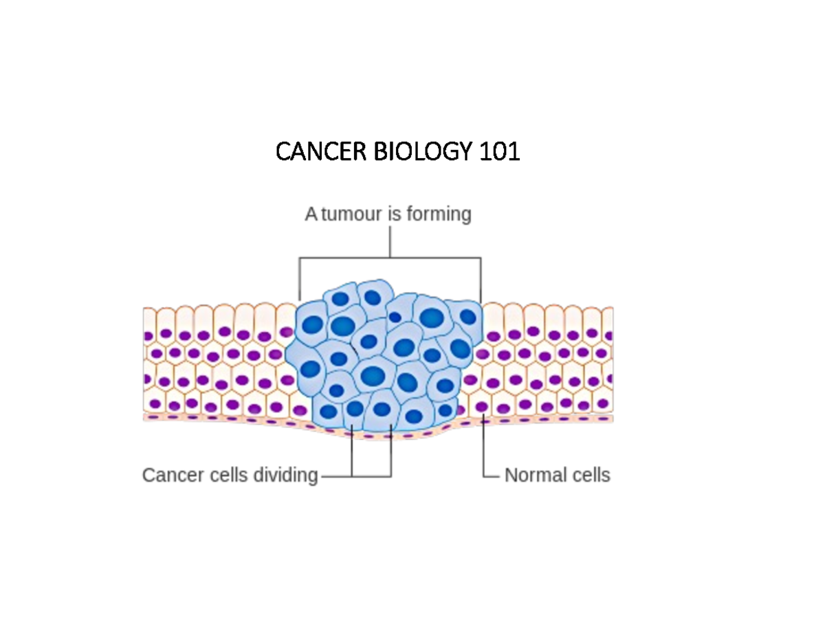 Lecture 17 - cell physiology - CANCER BIOLOGY THE HUMAN BODY AS AN ...