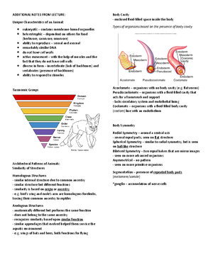 M3 - Porifera - PARAZOA: Simple, multicellular animals in which cells ...