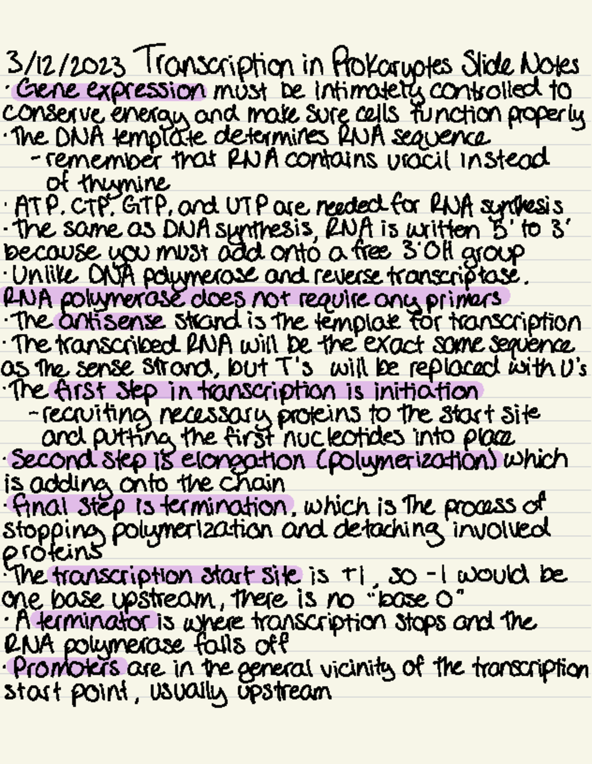 MMBio 240 Transcription in Prokaryotes Slide Notes - 3/12/2023 ...