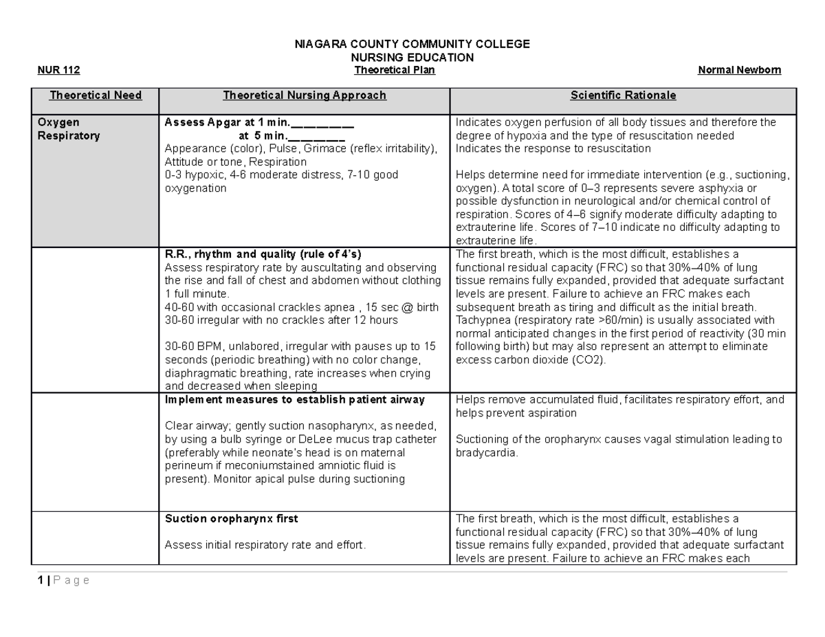 Normal Newborn Theoretical Care Plan - NIAGARA COUNTY COMMUNITY COLLEGE ...