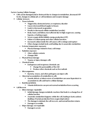 Adult Health 1 Med Calc Practice Exam - The medication available is ...