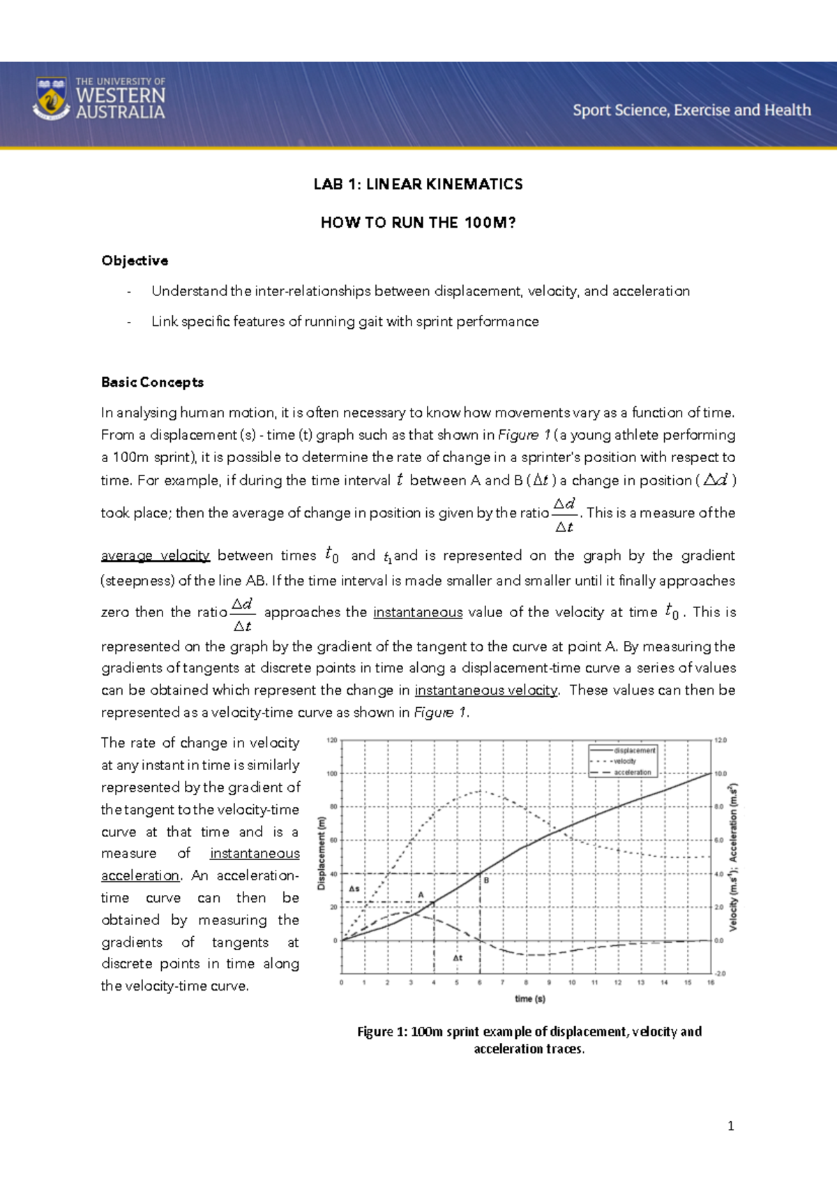 Lab 1 Linear Kinematics - LAB 1: LINEAR KINEMATICS HOW TO RUN THE 100M? Objective - Understand ...