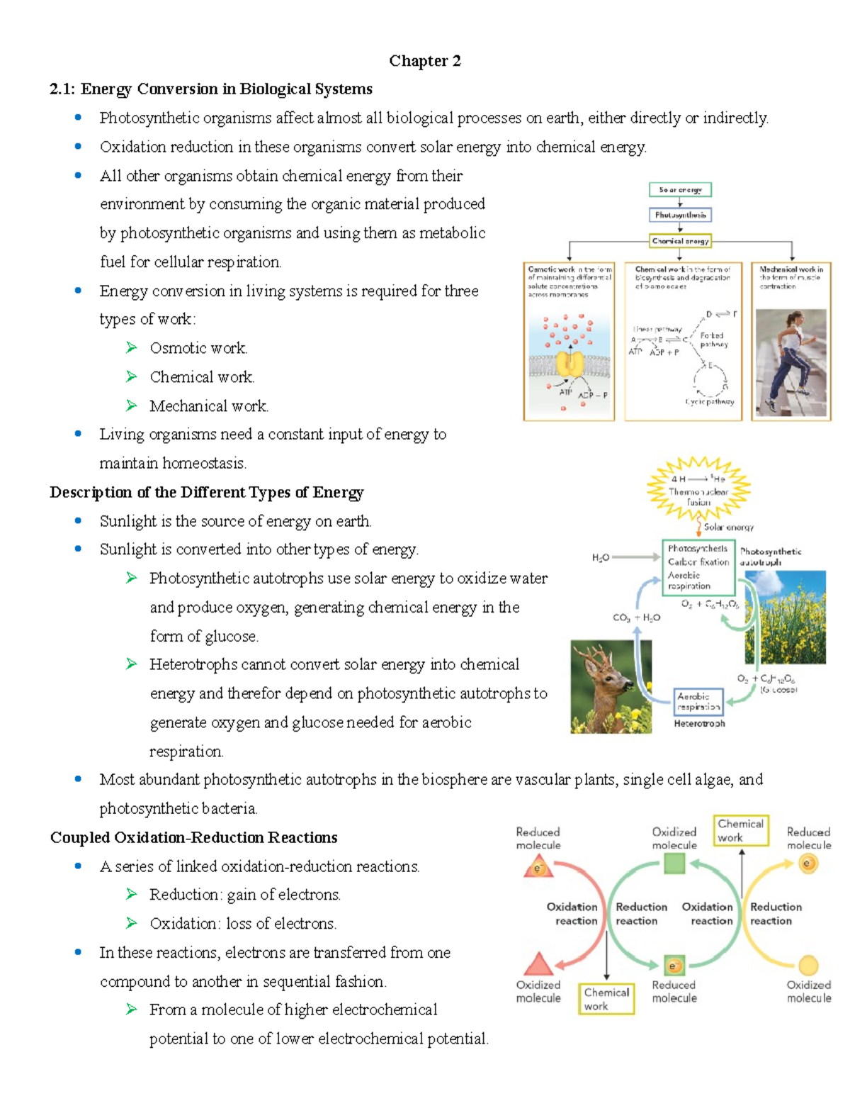 CH2 Summary- Incomplete - Chapter 2 2: Energy Conversion in Biological ...