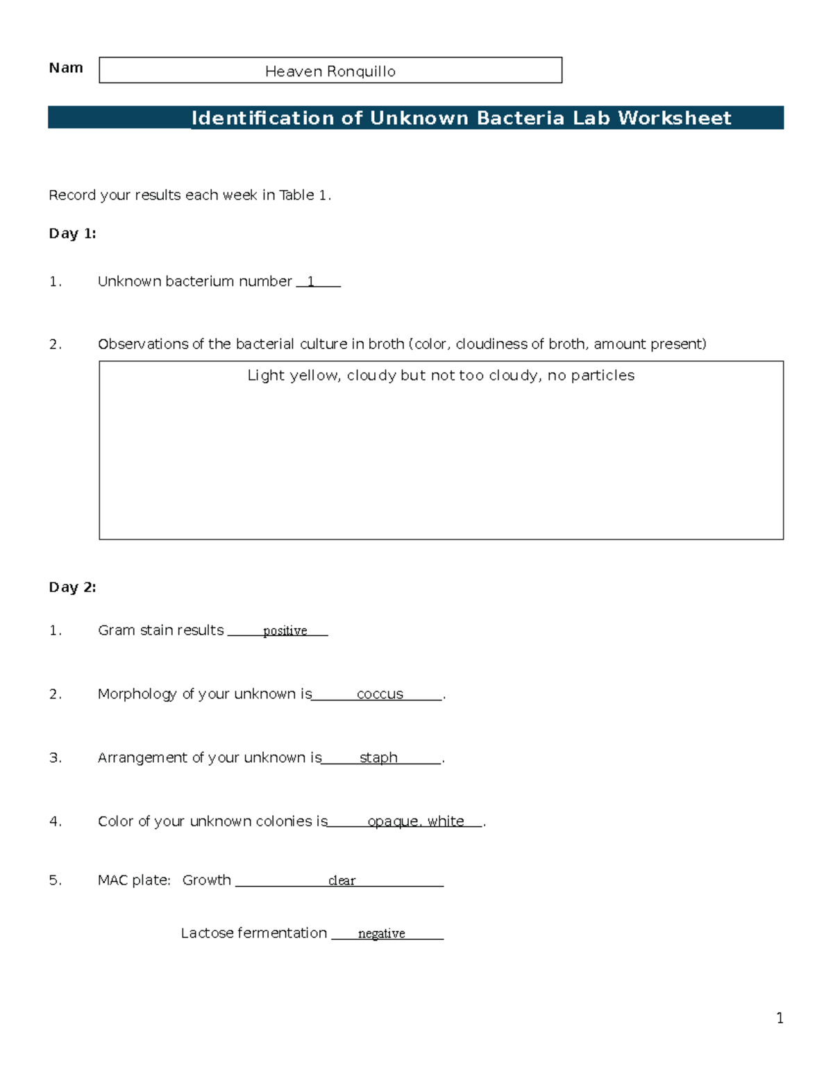 Identification of Unknown Bacteria Worksheet - Identification of ...
