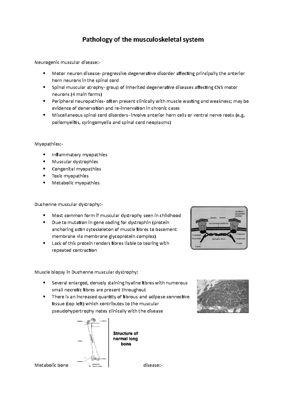 Pathology of Musculoskeletal System - Studocu