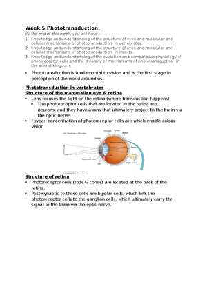 Phototransduction in insects - Knowledge of the structure of compound ...