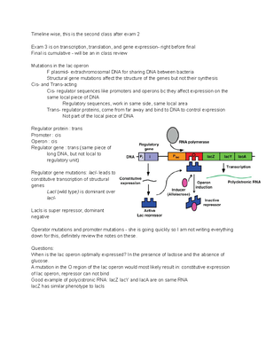 PTC Lab Report - PTC Lab Allison Kowalik 12/02/ Sect. 06 - GSA Katie ...