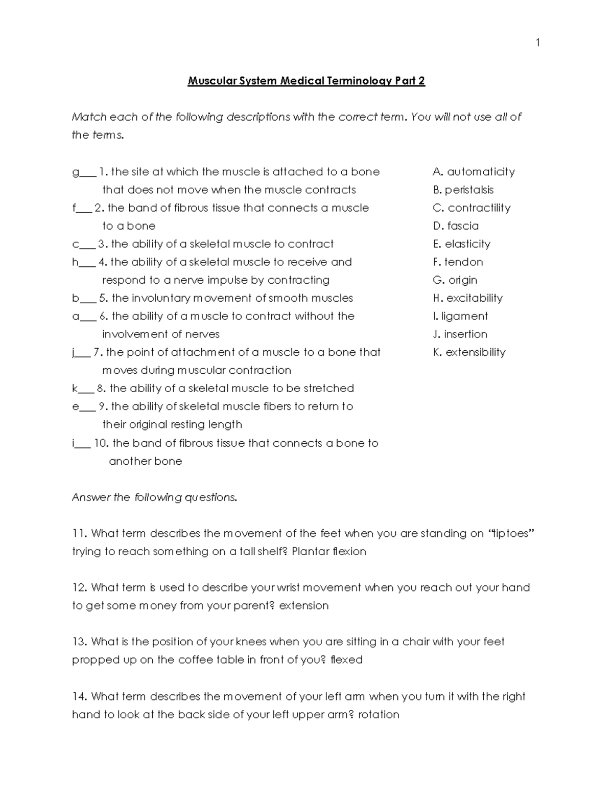 Copy of Muscular System Medical Terminology p - Muscular System Medical ...