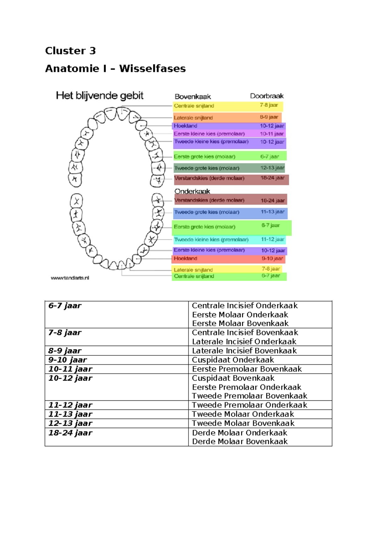 OSCE - Anatomie 2 - Wisselfases - Cluster 3 Anatomie I – Wisselfases 6 ...
