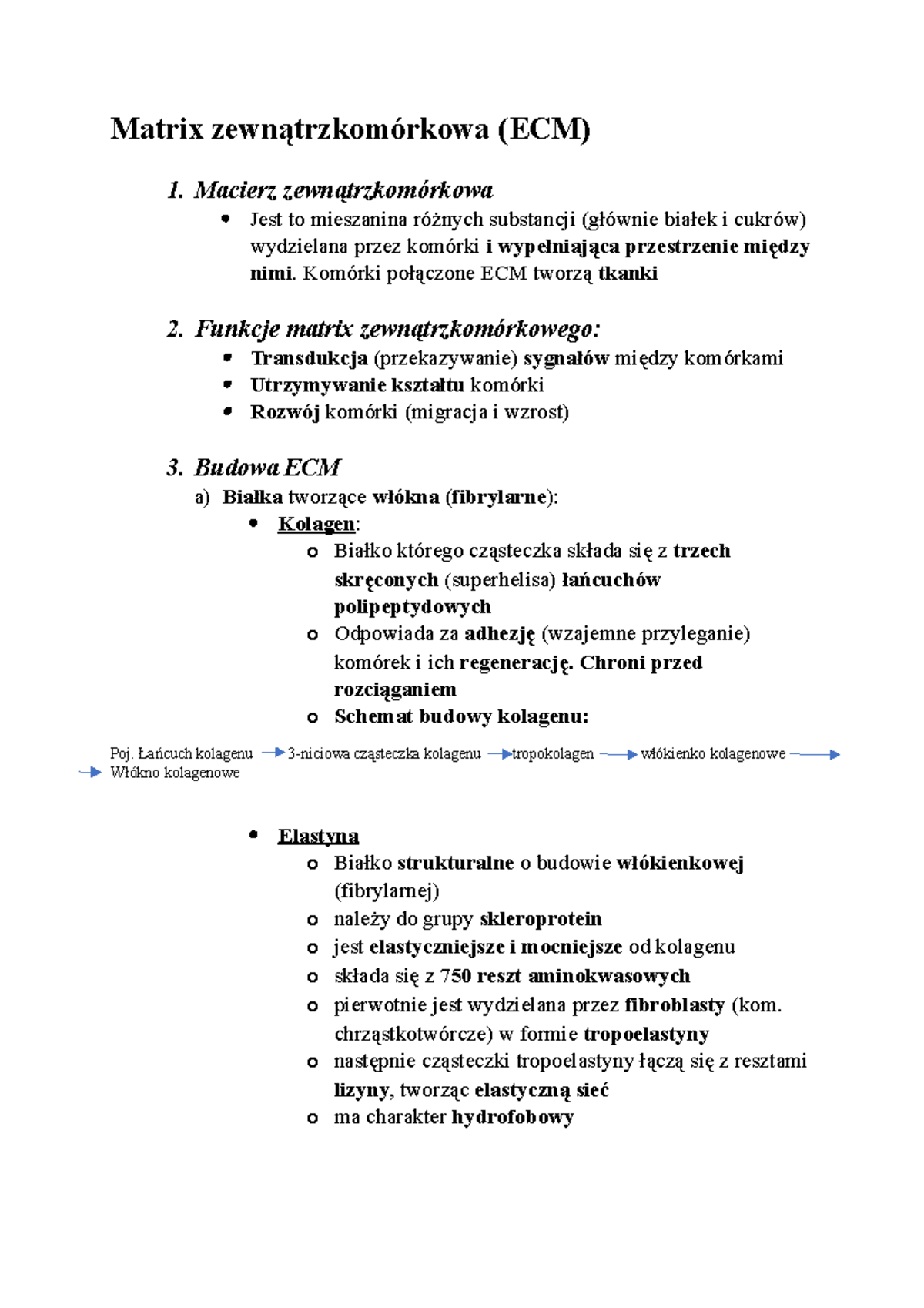 Macierz zewnątrzkomórkowa - Matrix (ECM) 1. Macierz Jest to mieszanina ...
