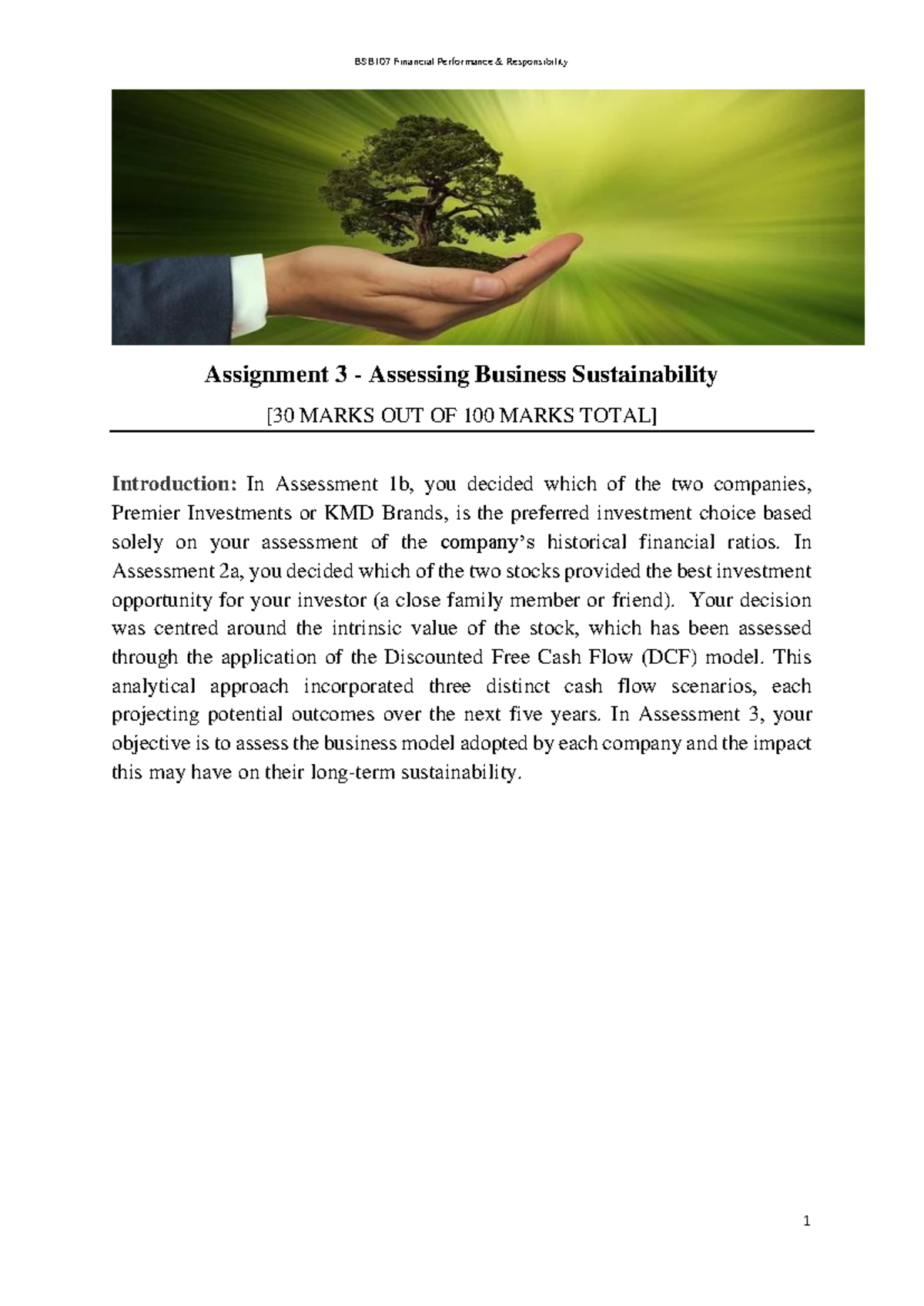 BSB107 Assignment A3 Sem 1 2024-1 - BSB107 Financial Performance ...