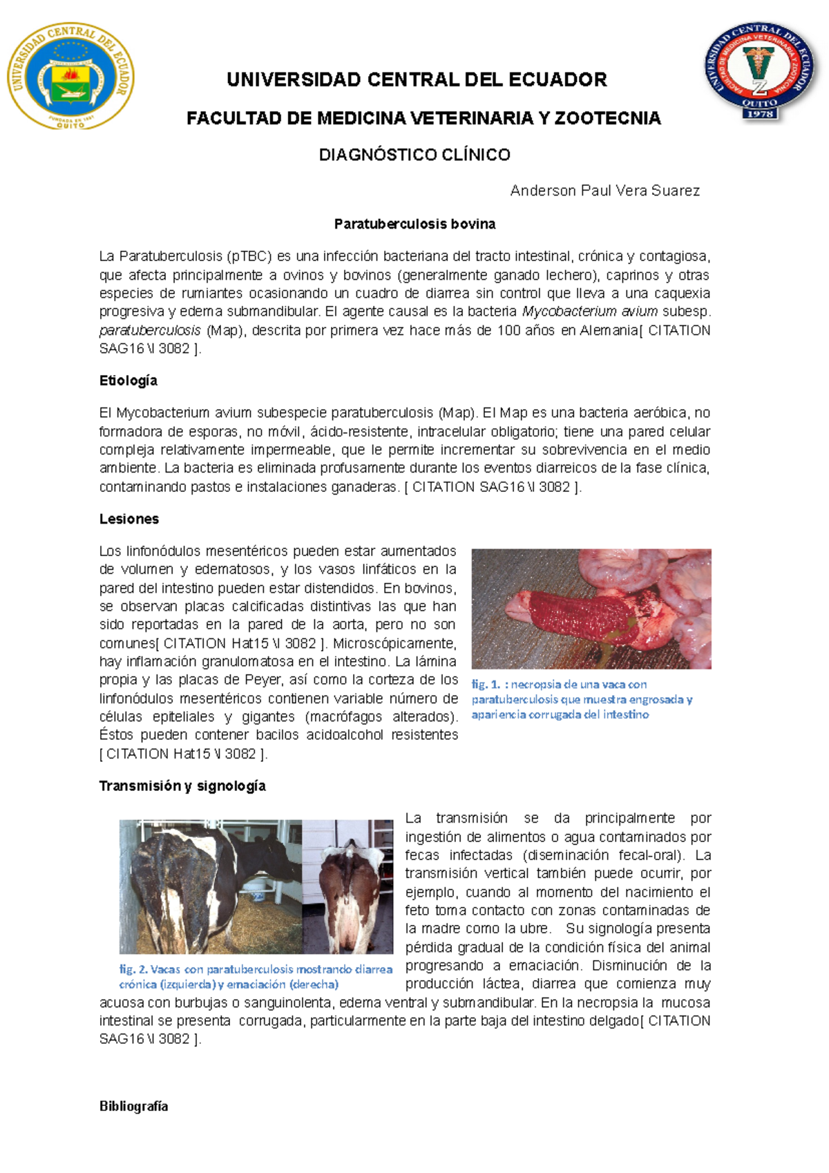 Paratuberculosis - El agente causal es la bacteria Mycobacterium avium ...