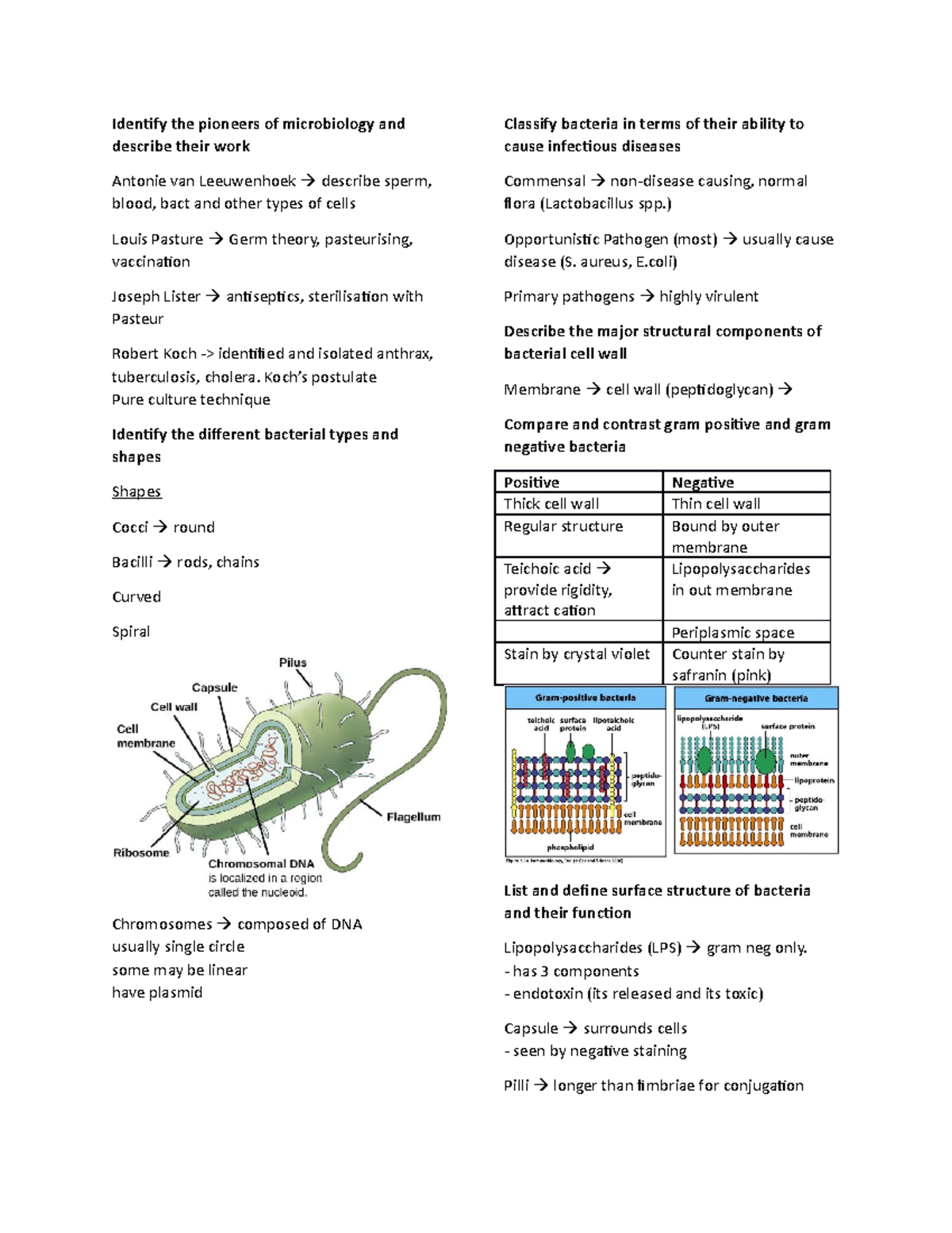 Summaries on bacteria - Identify the pioneers of microbiology their ...