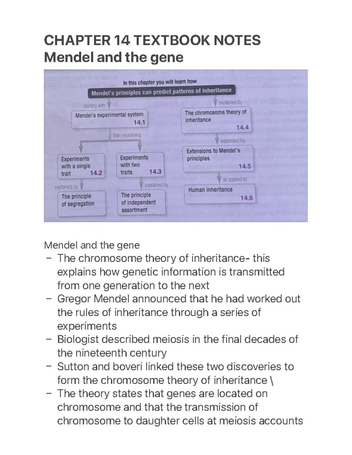 Chapter 14 Textbook Notes - CHAPTER 14 TEXTBOOK NOTES Mendel and the ...