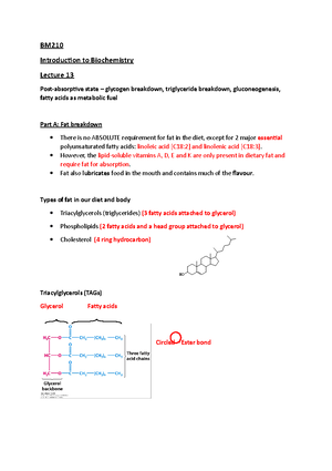 BM210 Lecture 15 - BM210 - Strath - Studocu