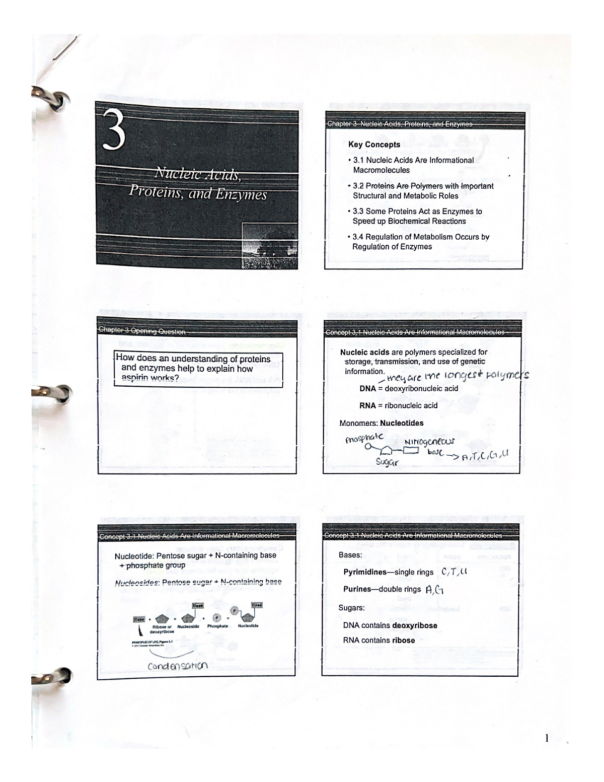 Chemistry chapter 3 notes - Studocu