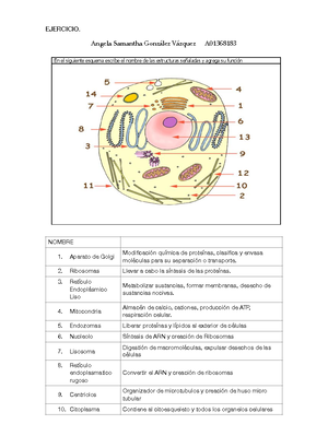 Células - Repaso de biología celular básico - Células: - Studocu