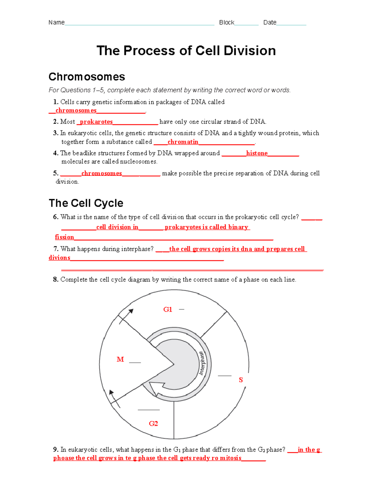 The Process of Cell Division - Name Block Date The Process of Cell ...
