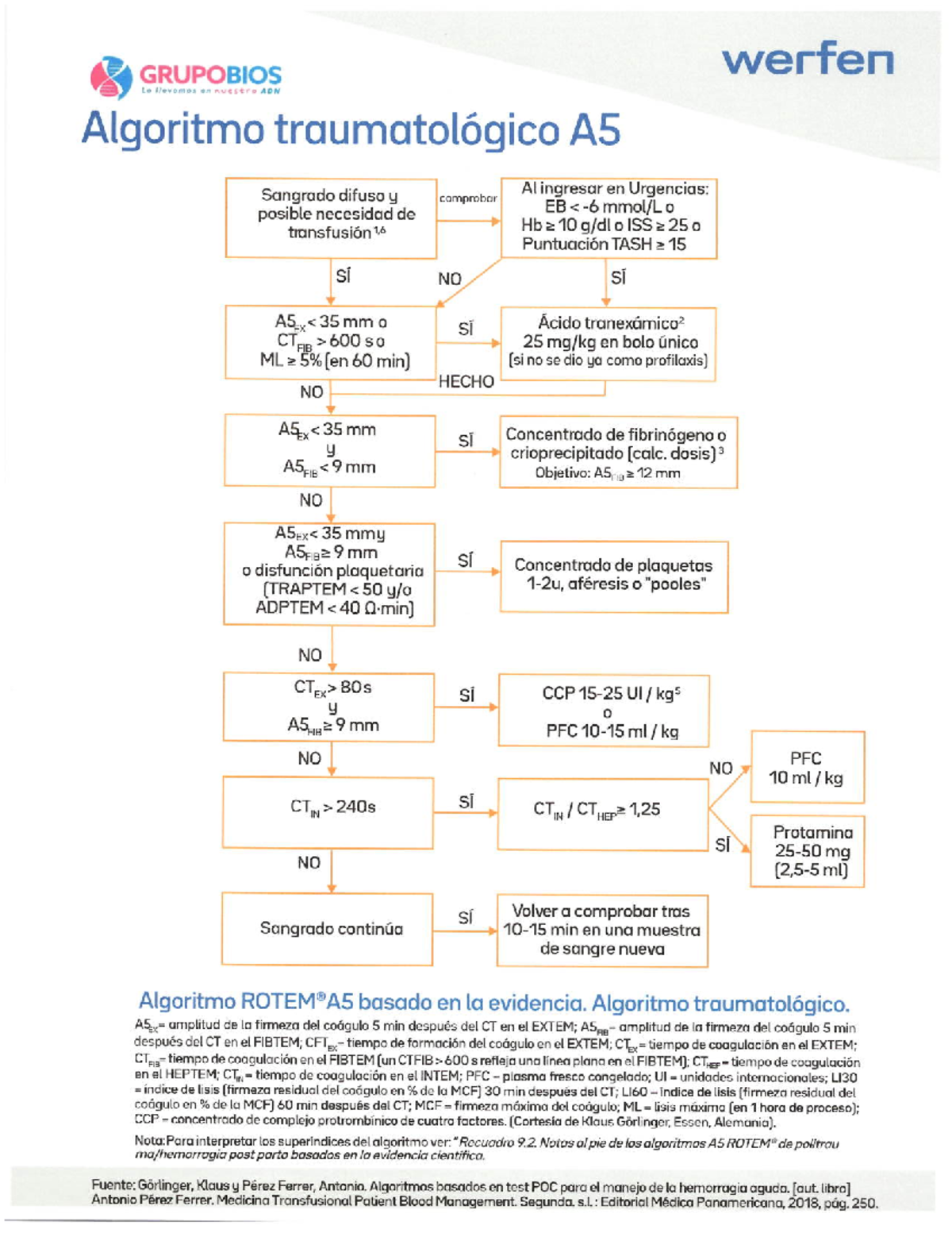 Algoritmo rotem Sigma traumatologico - werfen GRUPOBIOS Lo llevomos en ...