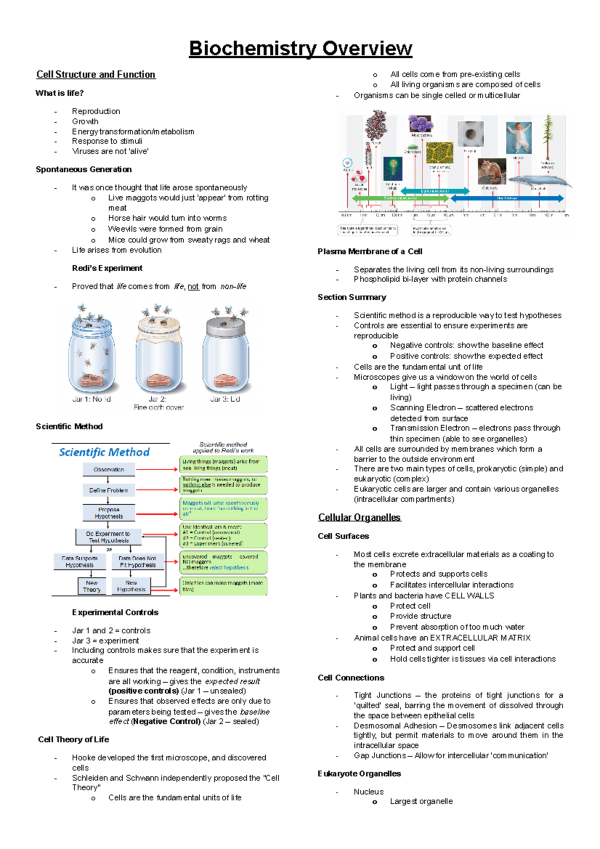 Biochemistry Overview - Biochemistry Overview Cell Structure and ...