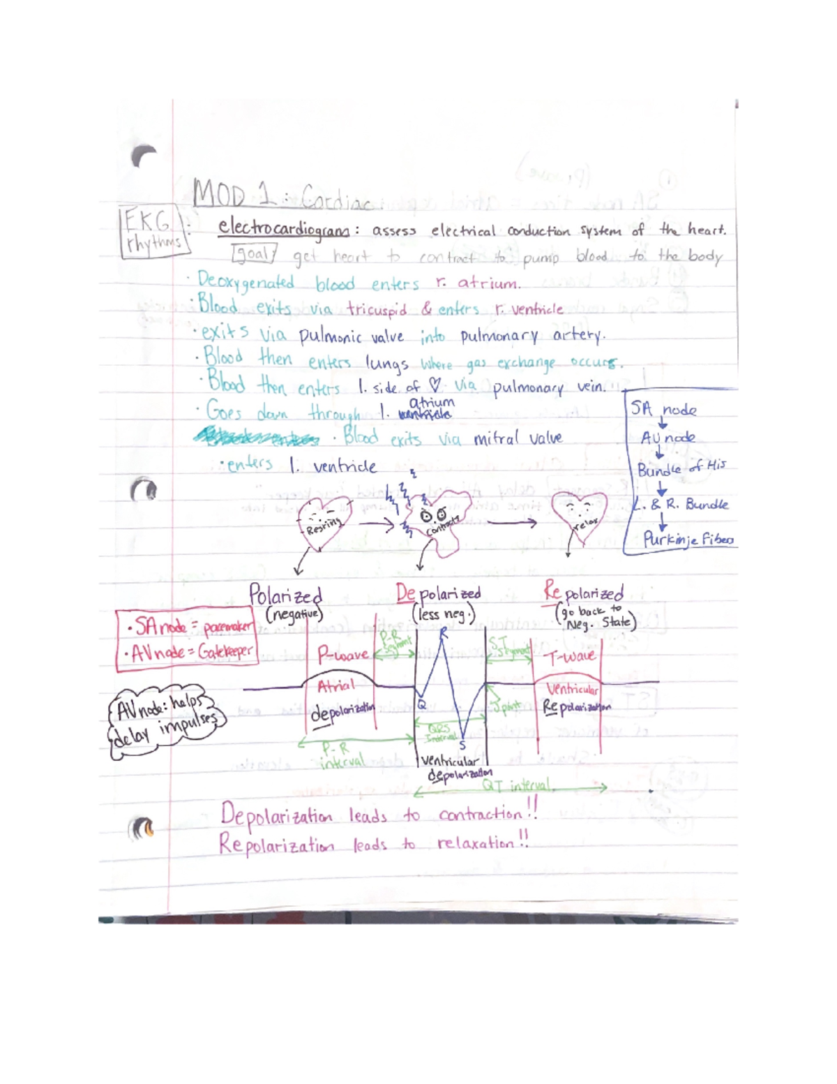 Final Review MOD 1-MOD 4 - N365 - Studocu