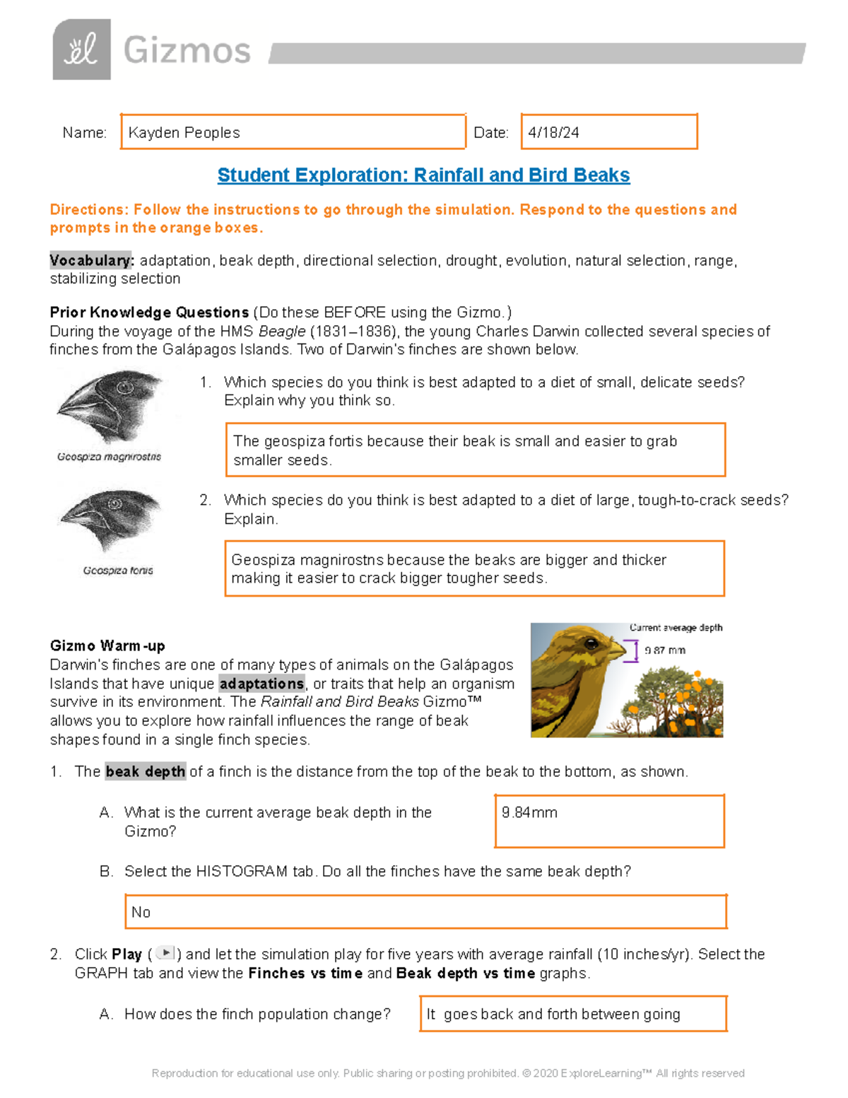 Kayden Peo7895 - Copy of Rainfall Bird Beaks SE - Name: Kayden Peoples ...