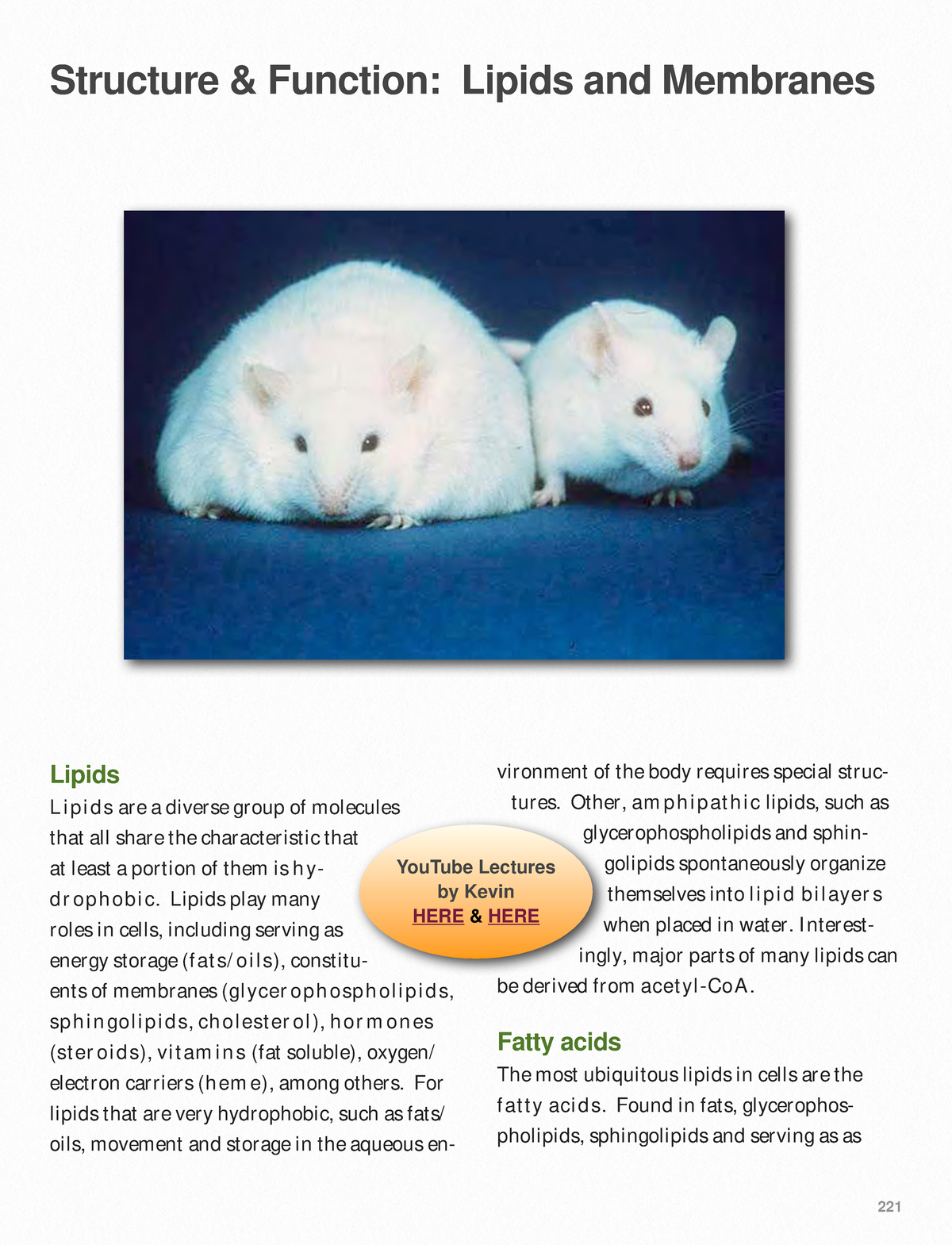 U1-Lipids - Helpful. - Structure & Function: Lipids and Membranes ...