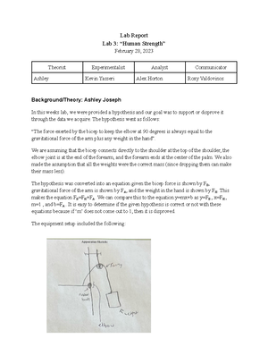 Bread Mold Report - Bread Mold Report Microbiology 101 Section ...