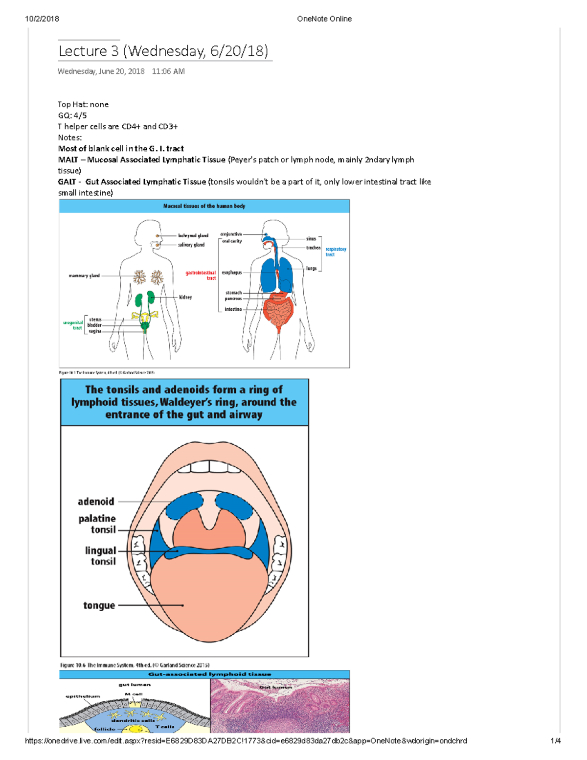 Lecture 3 Test 3 - OneNote Online Lecture 3 (Wednesday, Wednesday, June ...