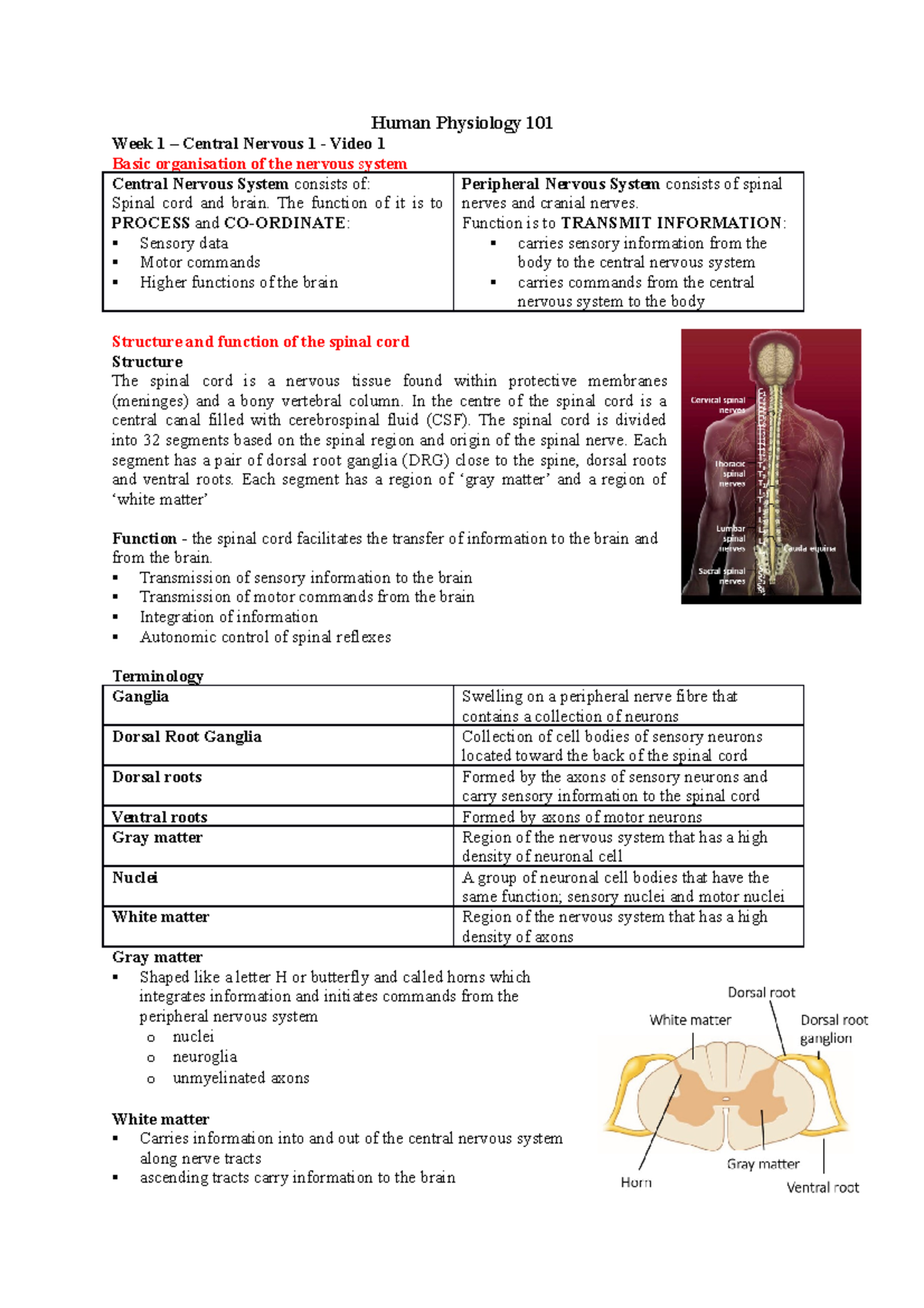 Human Physiology 101 new - Human Physiology 101 Week 1 – Central ...