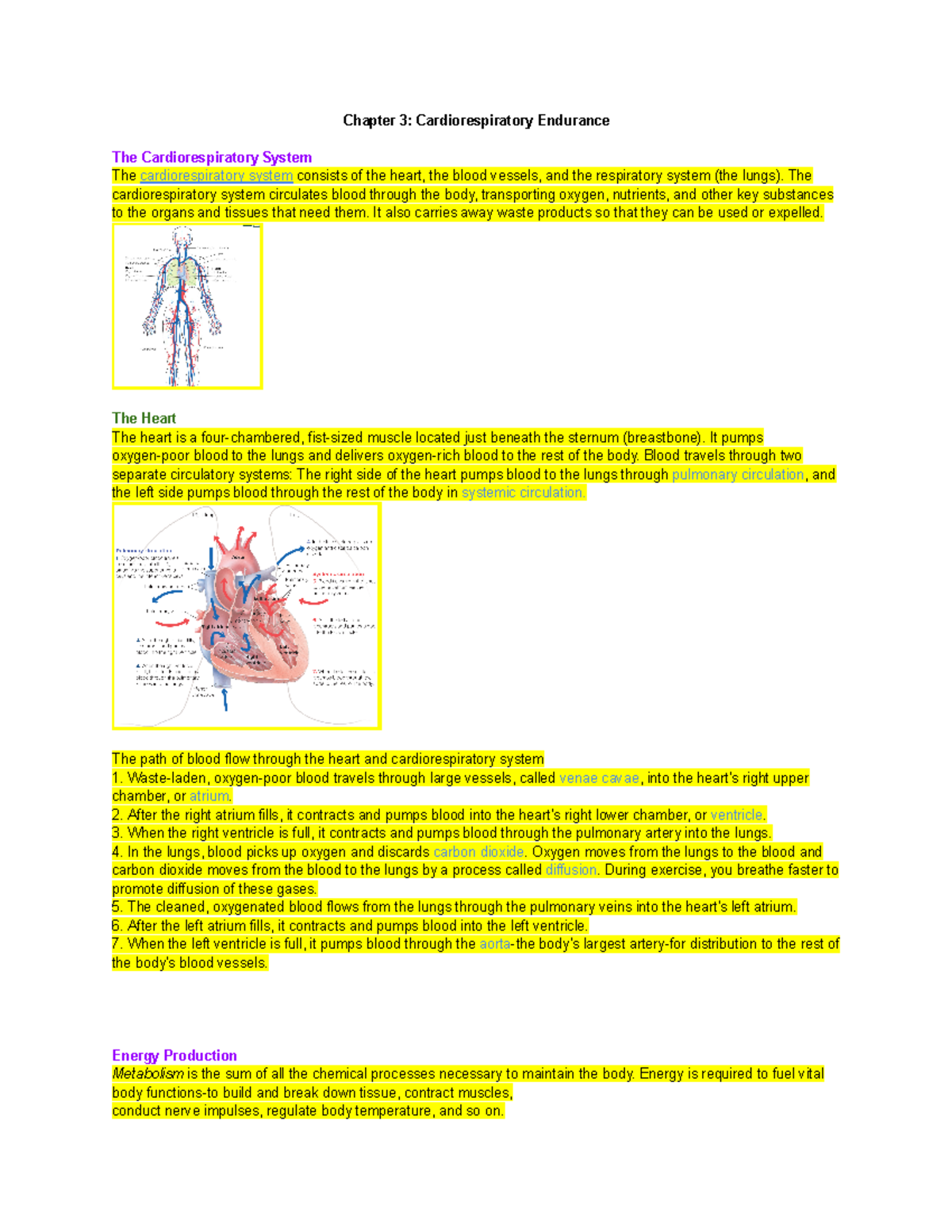 Personal Health: Chapter 3: Cardiorespiratory Endurance - Chapter 3 ...