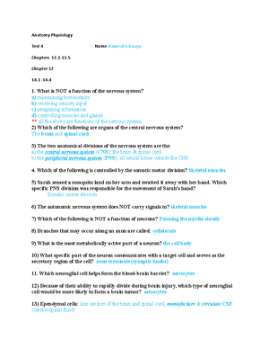 Urinary System Unit 4 test questions -1 - Human Anatomy & Physiology ...