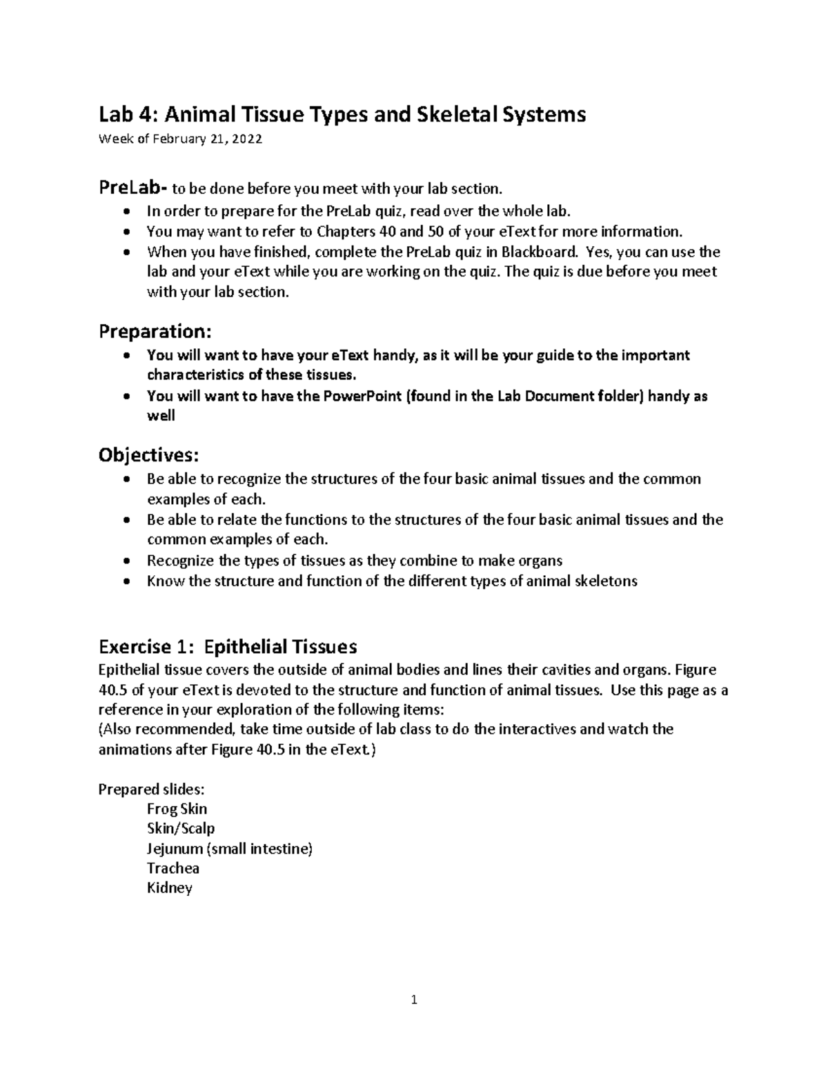 Lab 4 Animal Tissue & Skeleton Types - Lab 4: Animal Tissue Types and ...