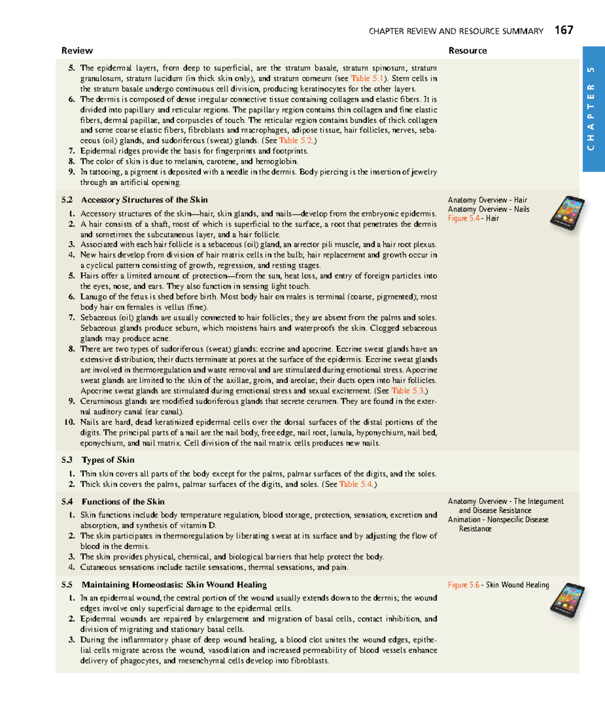 Anatomyand Physiology-67 - C H A P T E R 5 CHAPTER REVIEW AND RESOURCE ...