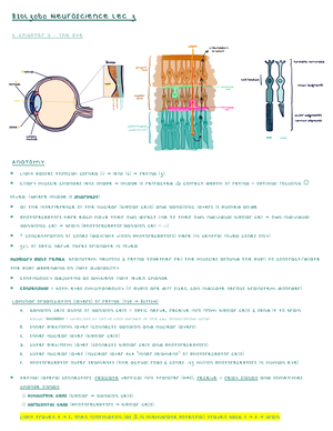 Biol 3060- Lab # 4-Introduction-Protocol-W2023 - Neuroscience – Winter ...