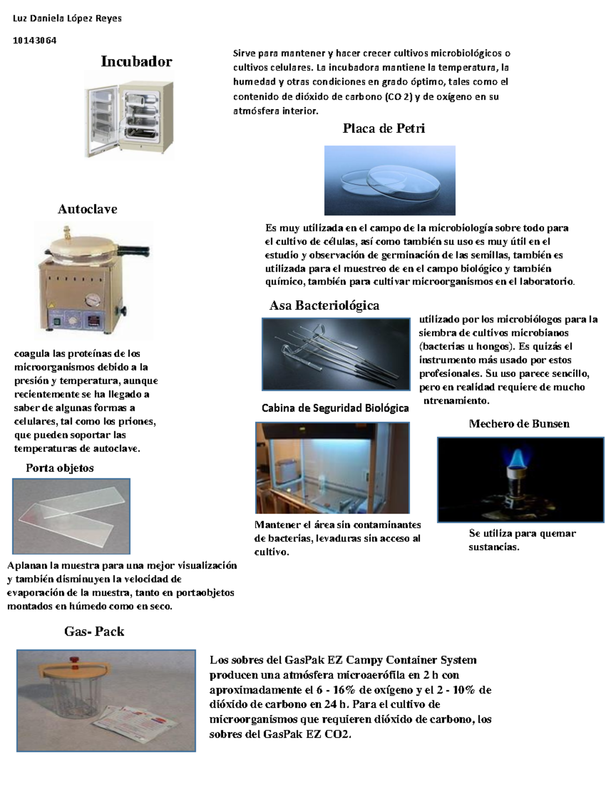 Infografia de lab microbiologia - Incubador Sirve para mantener y hacer ...