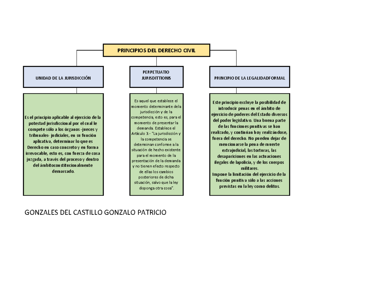 Principios derecho civil - GONZALES DEL CASTILLO GONZALO PATRICIO ...