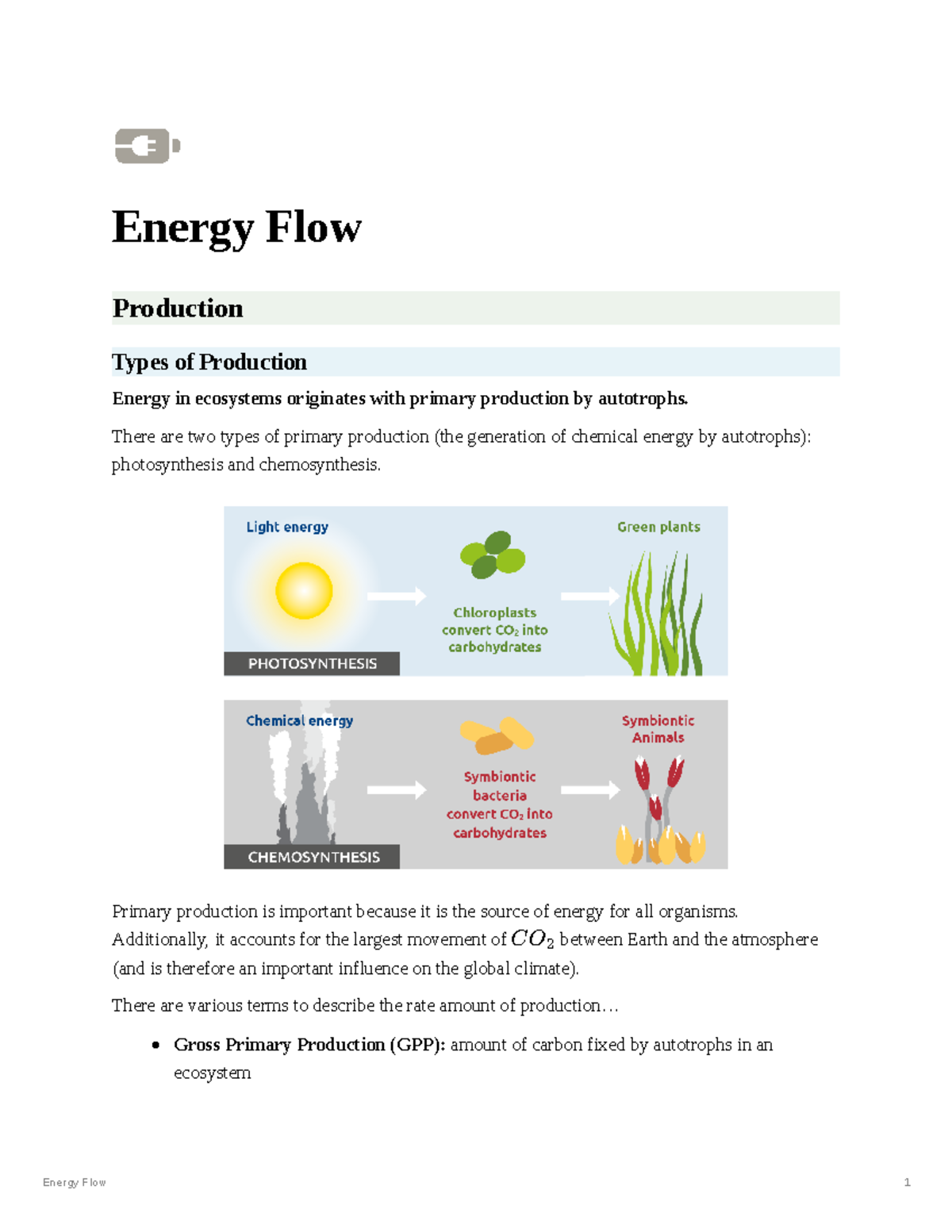 Energy Flow Chapter Notes - Energy Flow Production Types of Production ...