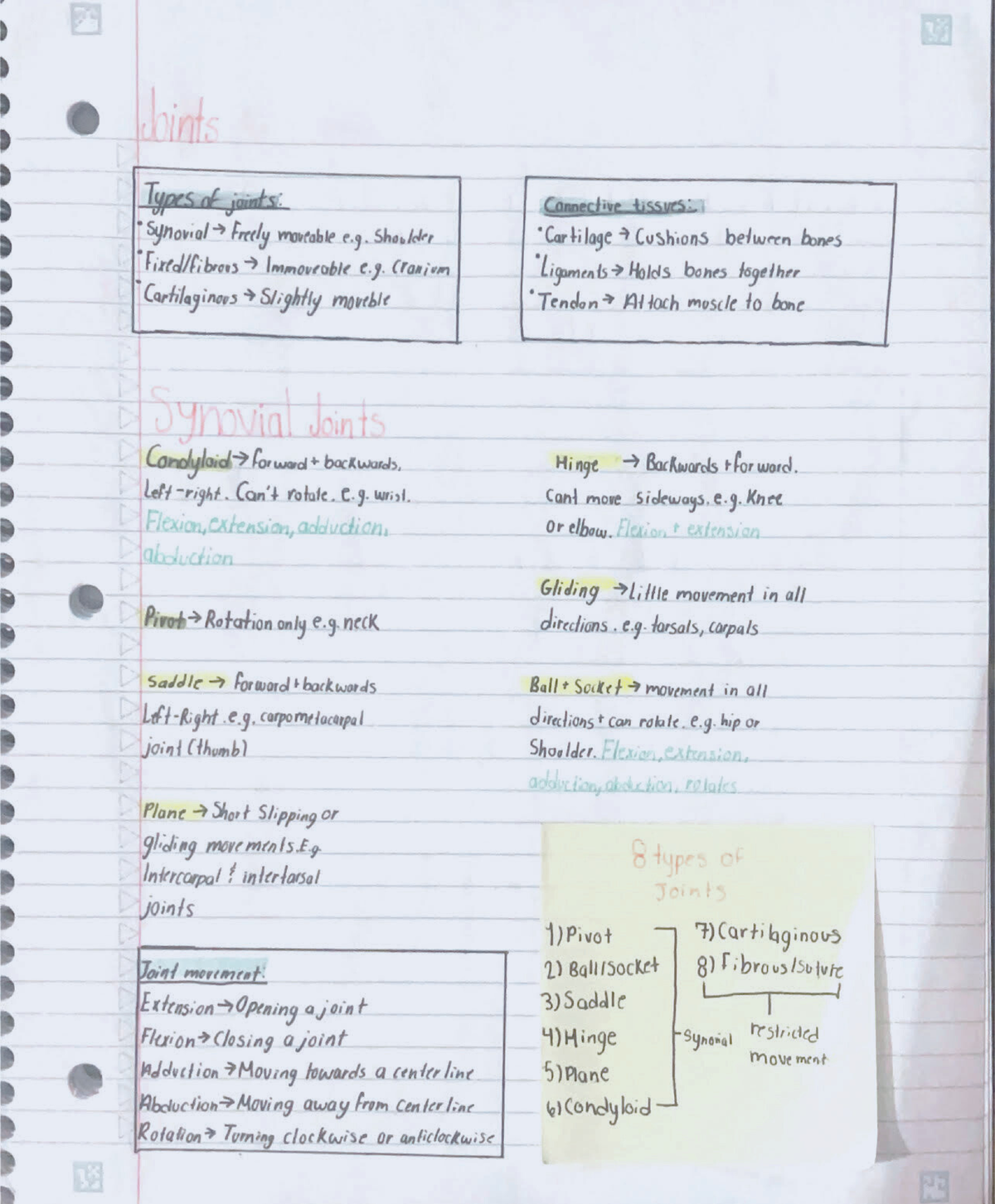 Anatomy and Physiology Joint Notes - 24 tj Joints Types of joints ...