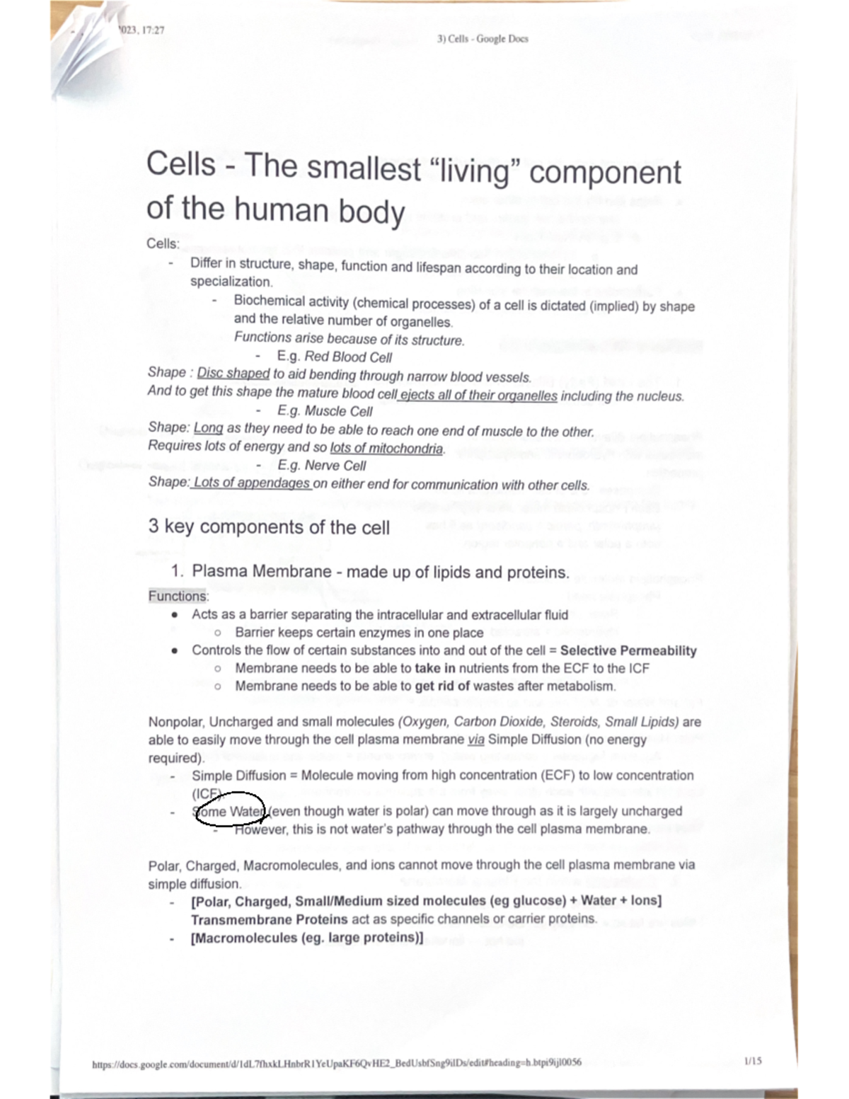 Cells Notes - 17 : 27 3) Cells - Google Docs Cells - The smallest ...