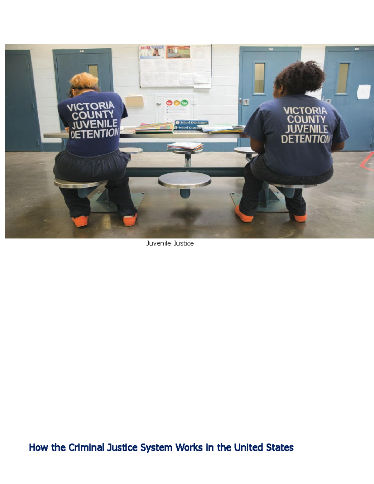 CJ 112 Project One Template - Juvenile Justice How the Criminal Justice ...