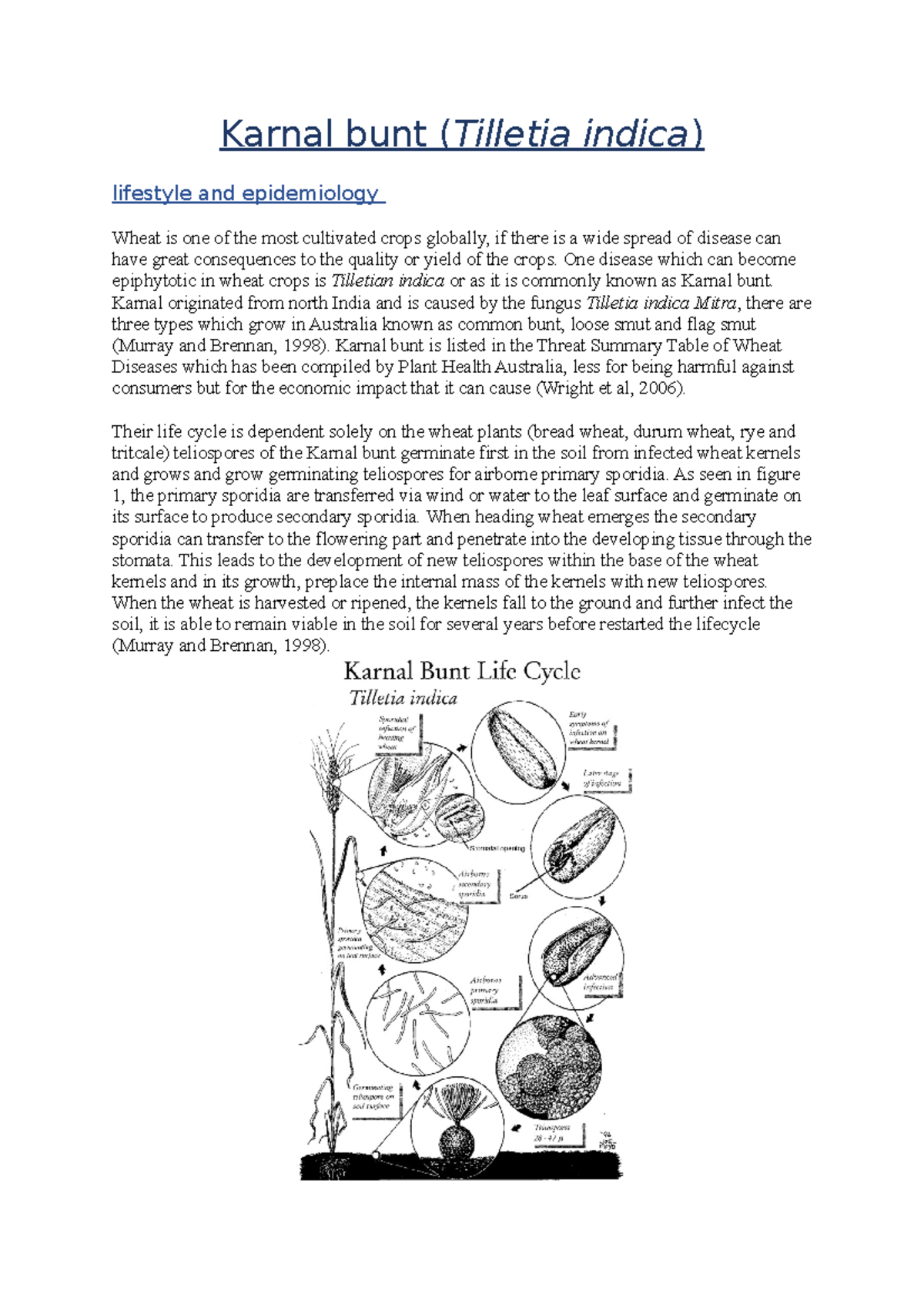 Karnal bunt - Applied Project - Karnal bunt ( Tilletia indica ...