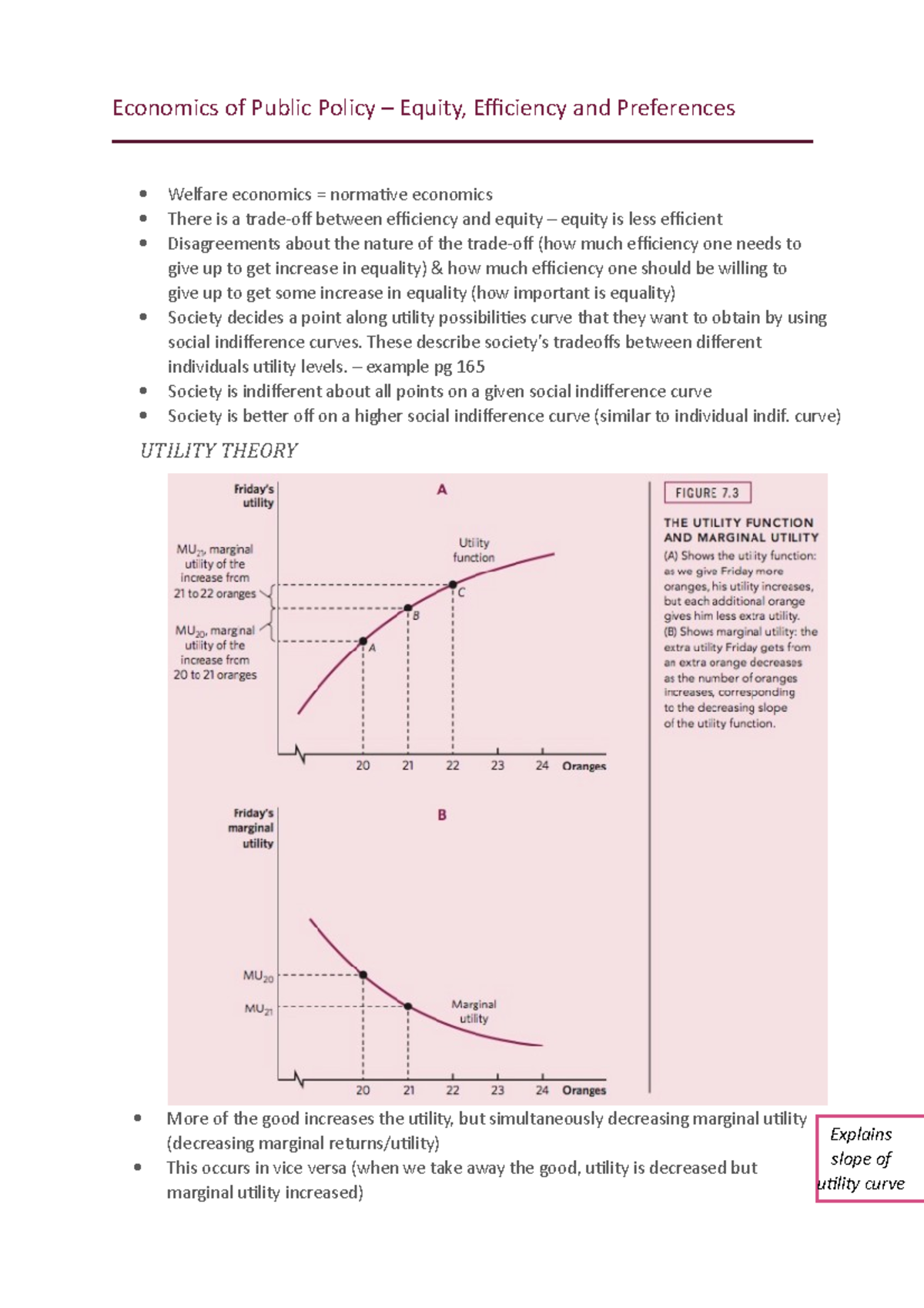 Topic 3 Lecture Notes - Economics of Public Policy – Equity, Efficiency ...