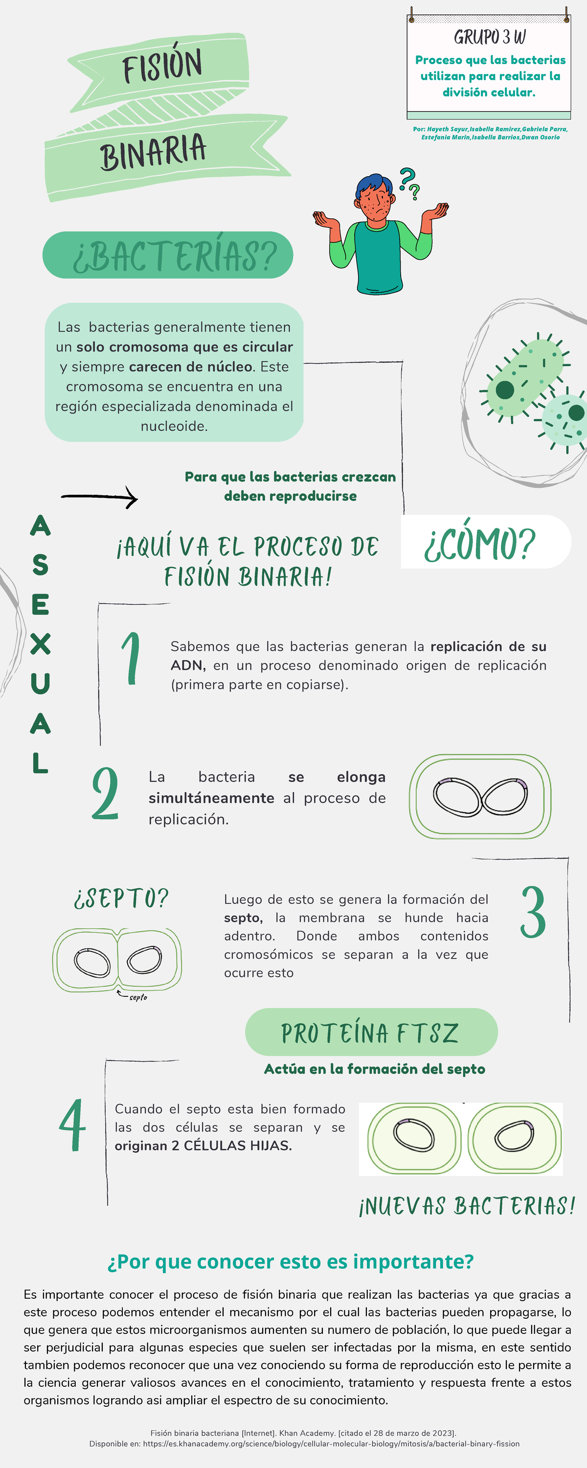 Infografía Fusion Binaria - 4 GRUPO 3 W Las bacterias generalmente ...