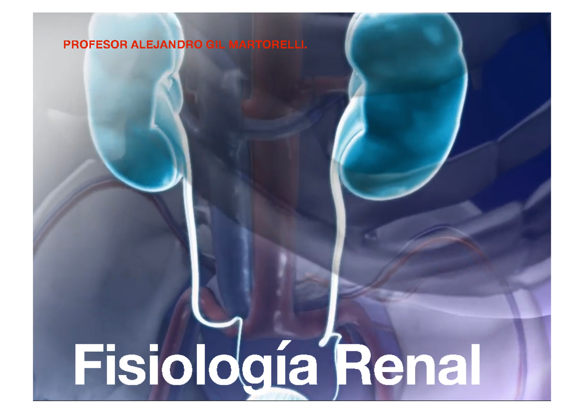 Clase 1 de renal - Fisiología Renal PROFESOR ALEJANDRO GIL MARTORELLI ...