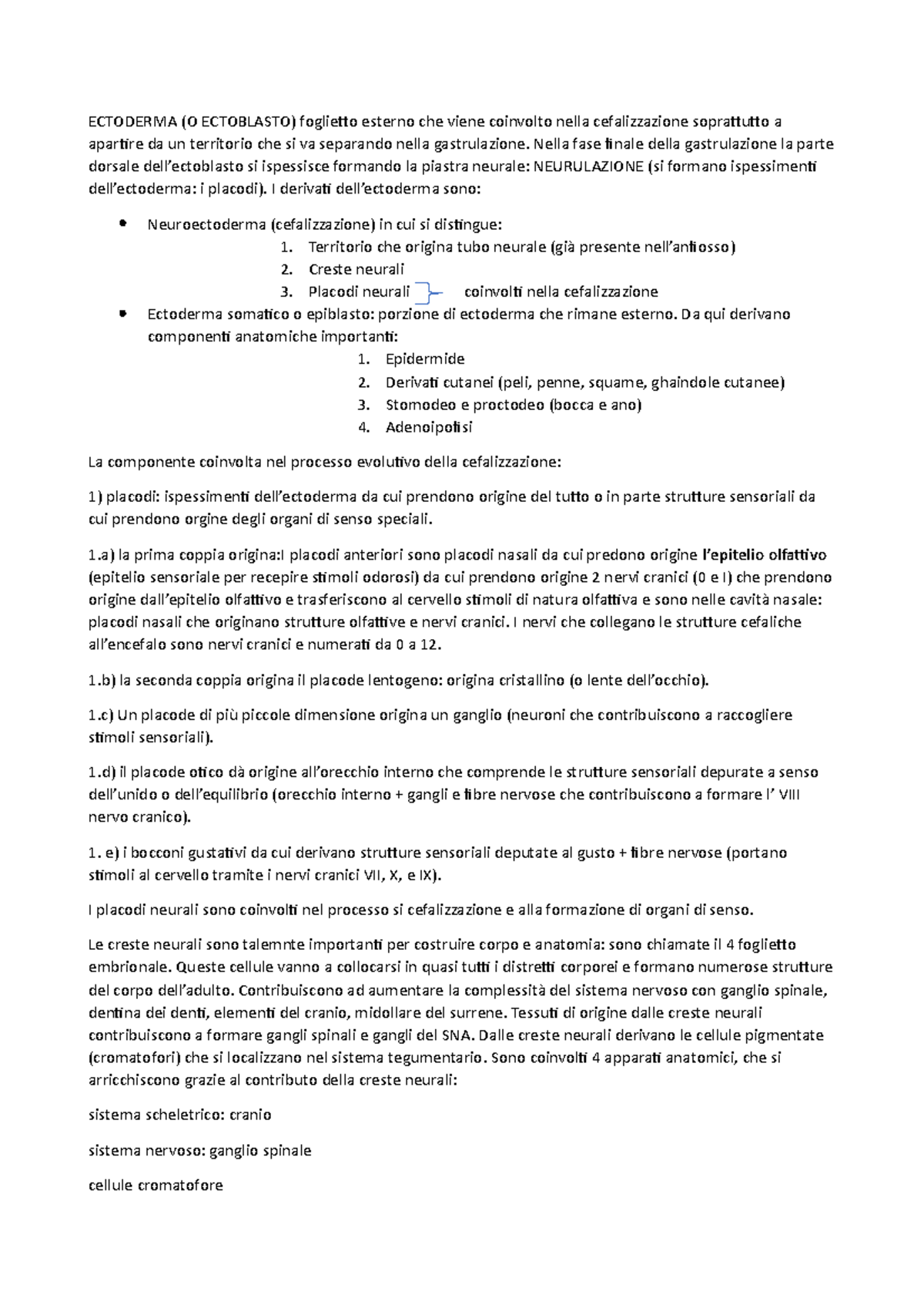 Ectoderma - ECTODERMA (O ECTOBLASTO) foglietto esterno che viene ...