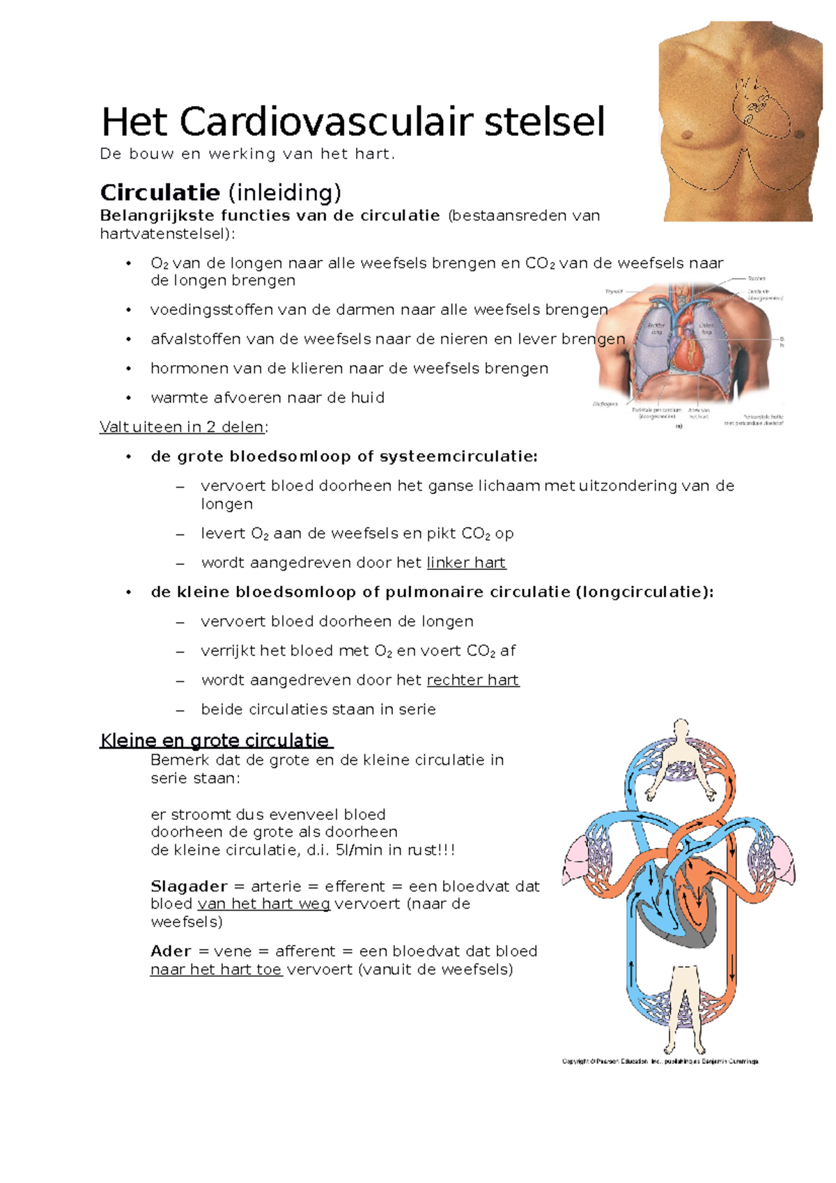 Cardiovasculair stelsel - Circulatie (inleiding) Belangrijkste functies van de circulatie - Studocu